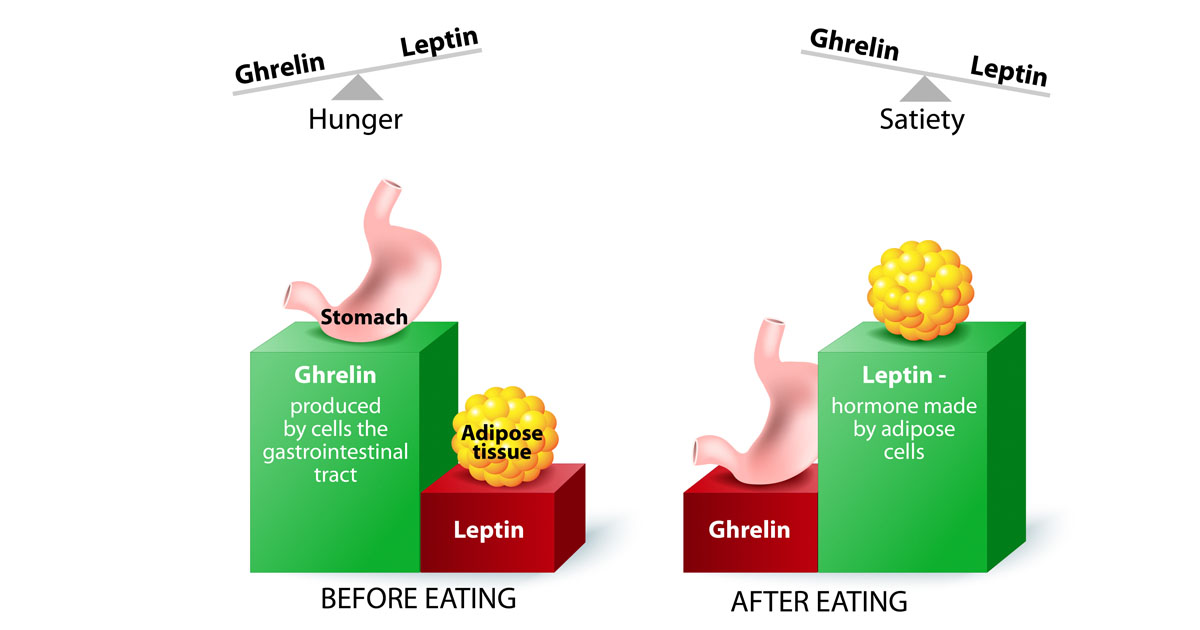 The Importance of Satiety: Feeling Satiated Controls Food Cravings